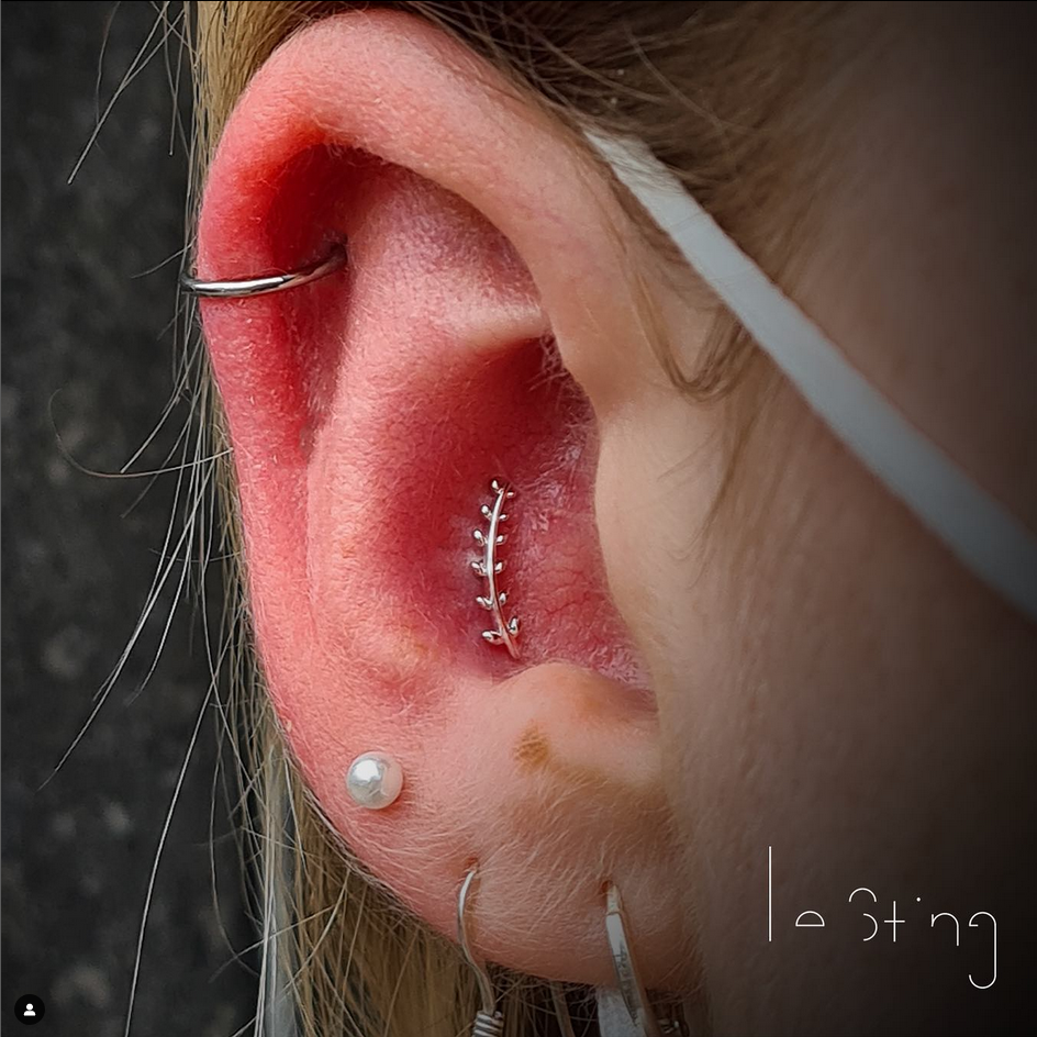 Piercings galerij - Le Sting Piercings