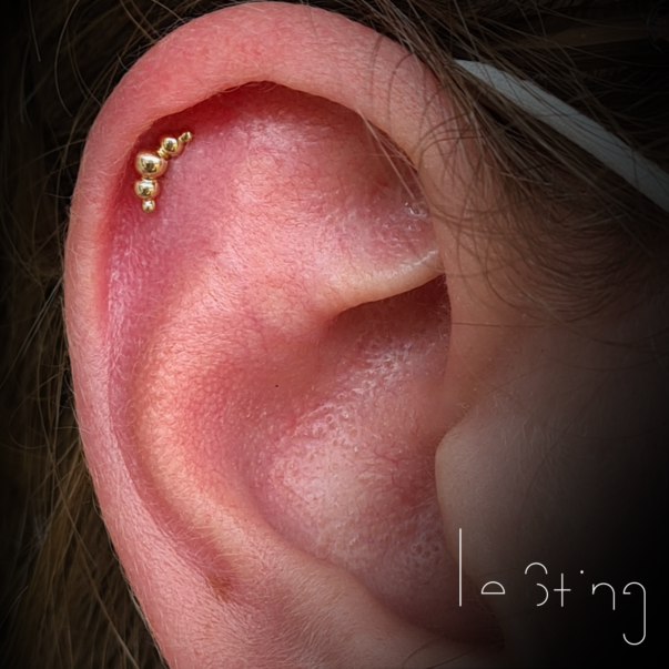 Piercings galerij - Le Sting Piercings